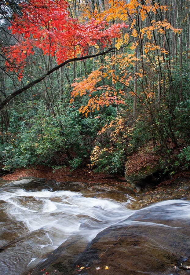 Autumn Forest with Gentle Waterfall Stock Image - Image of davidson ...