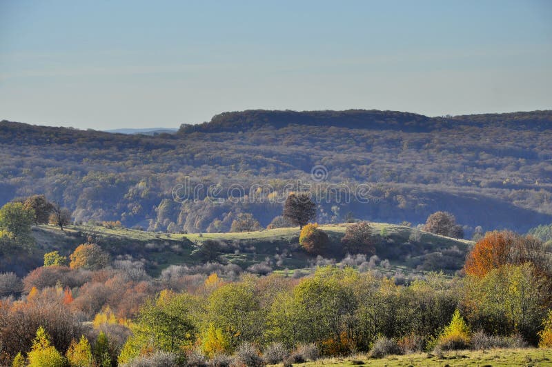 Autumn Forest Hills stock image. Image of farming, farm - 39522637