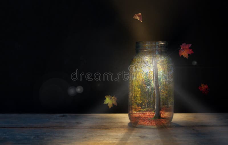 Autumn Forest in a Jar Background Stock Photo - Image of leaf, magic ...