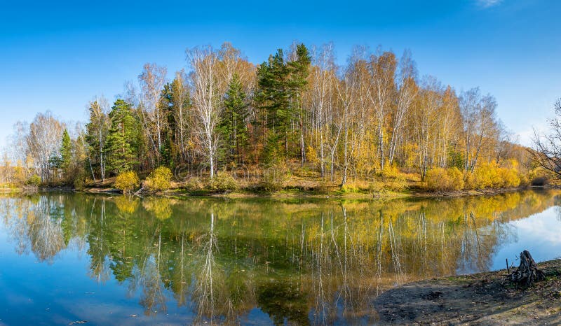 Autumn forest by the lake stock photo. Image of lake - 163466520