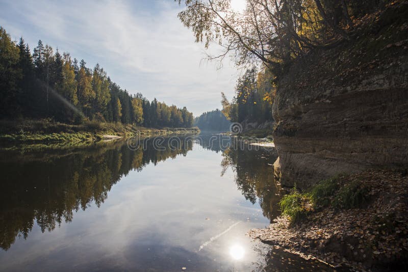 Autumn Forest Lake Reflection Landscape on Sunny Autumn Day. Realistic ...