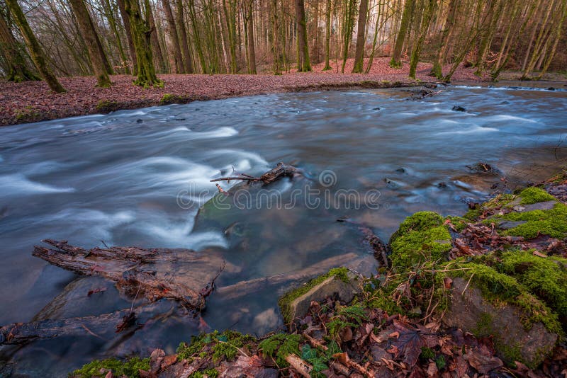 Autumn in the Forest, Long Exposure Stock Image - Image of jungle ...