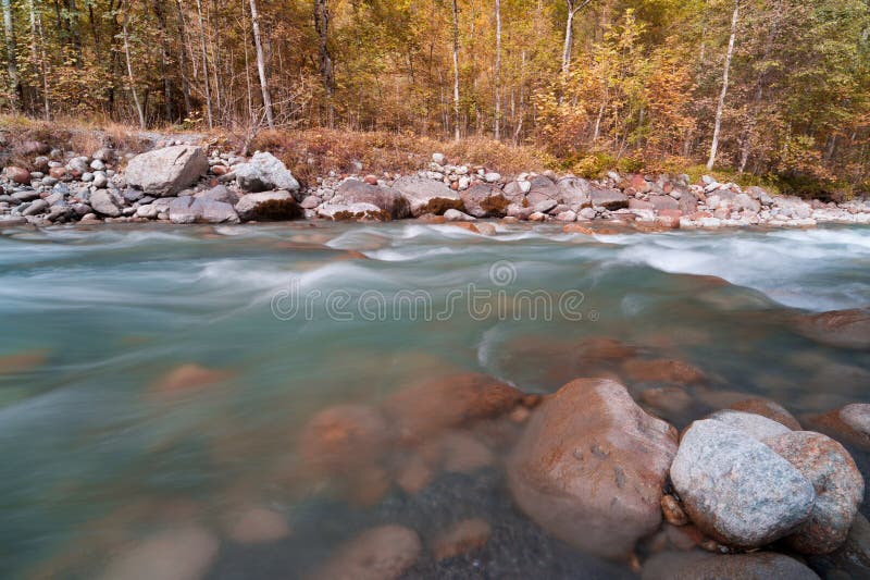 Autumn Forest and Mountain River Stock Image - Image of motion ...