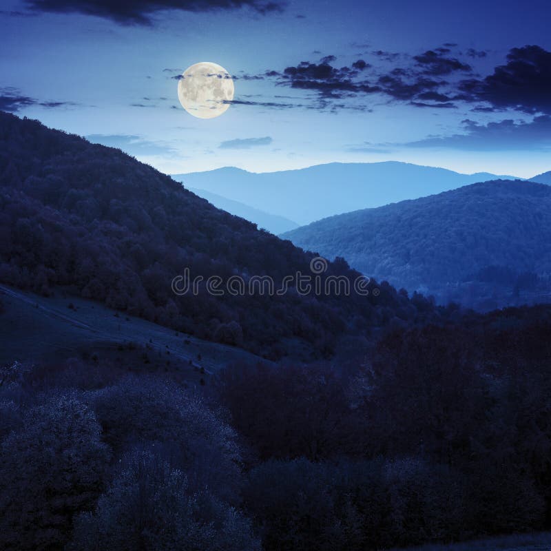 Autumn Forest on a Mountain Slope at Night Stock Image - Image of night ...