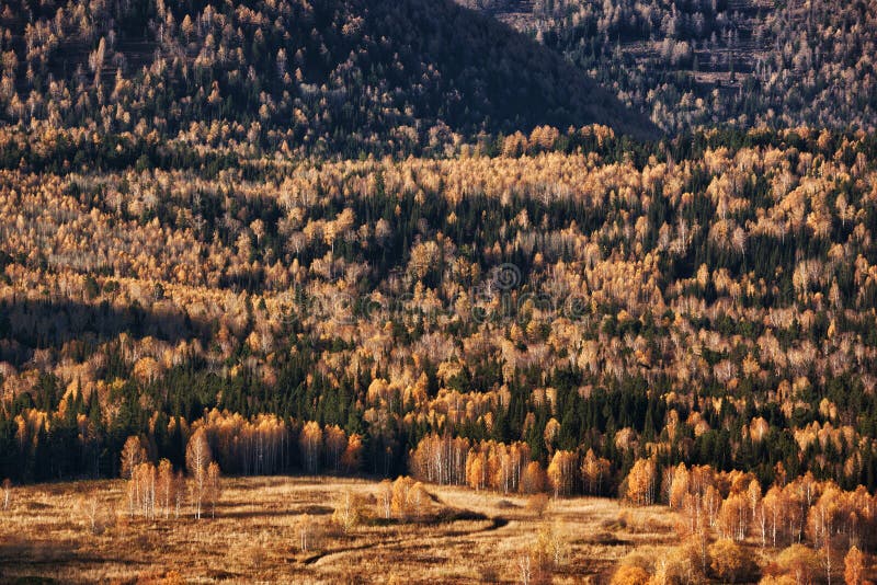 Autumn forest in mountains stock image. Image of mountain - 25691301