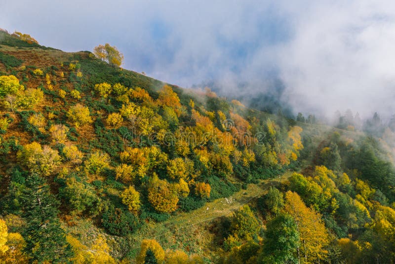Autumn Forest in the Mountains. Colorful Flora Covers the Slopes of the ...