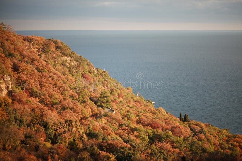 Autumn forest near the sea stock image. Image of beauty - 26718963