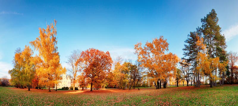 360 Degree Forest Fall Panorama Stock Photo - Image of panoramic ...