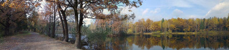 Autumn in the Forest. Panoramic View. Stock Image - Image of wonderful ...