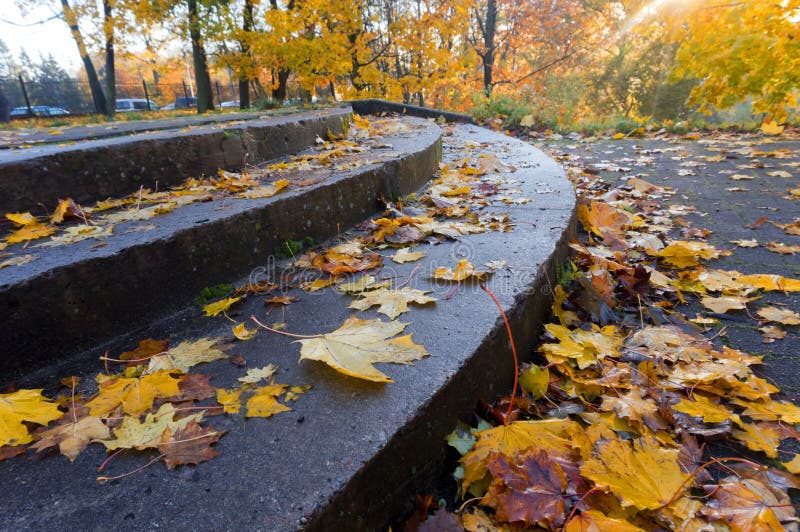Steps Covered in Fallen Leaves, Autumn Forest, Autumn in the Park ...