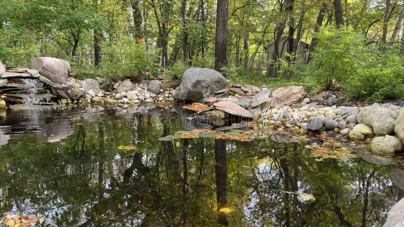 Autumn Forest Pond with Leaves on the Surface and Rocks Around Stock ...