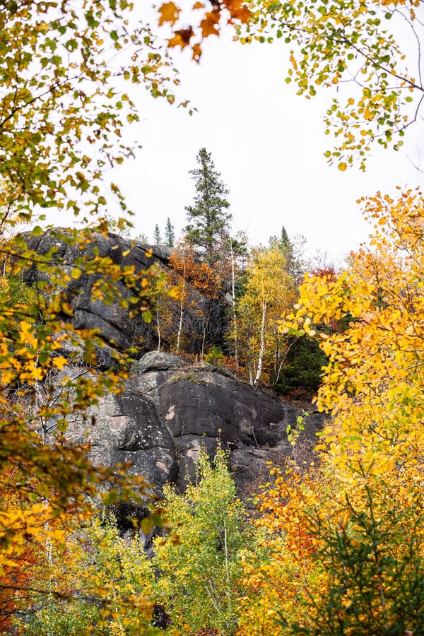 Autumn Forest in the Province of Quebec Stock Photo - Image of trees ...