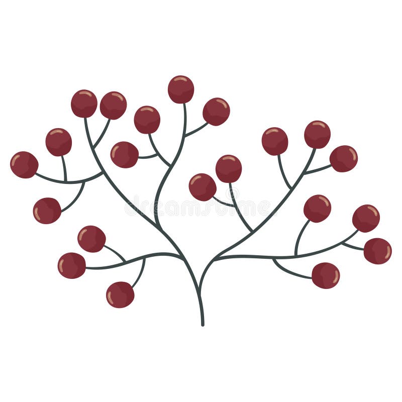 Autumn Forest Red Berry on Twig Illustration. Stock Vector ...