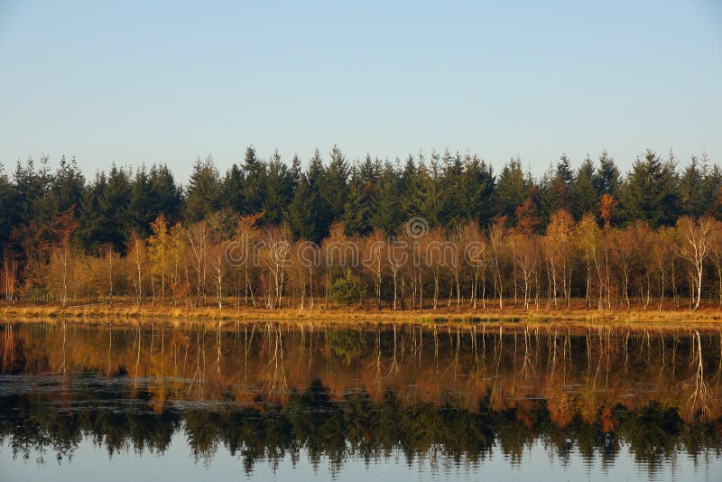 Autumn forest reflection stock photo. Image of netherlands - 22104536