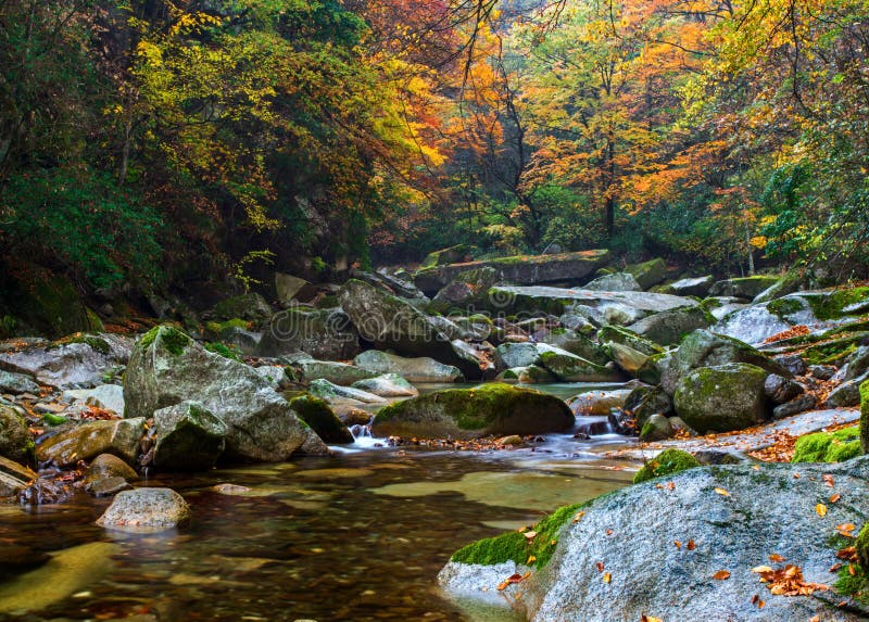 Autumn forest river stock photo. Image of blue, colour - 44001232