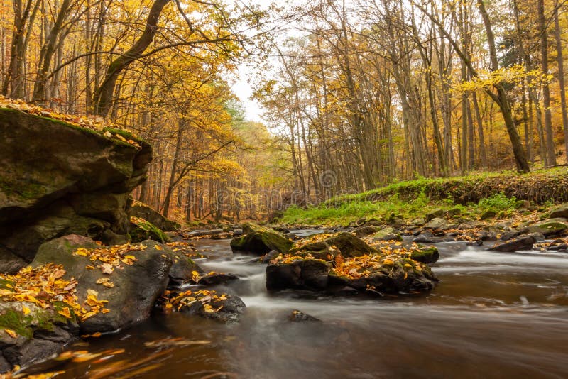 Autumn Forest River Creek View. Creek in Autumn Forest Sunset Stock ...