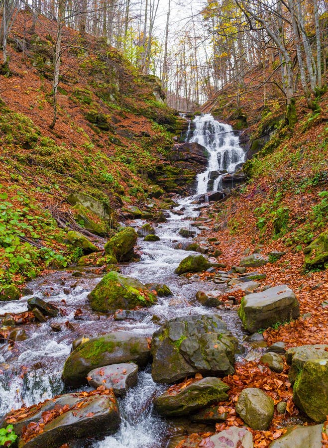 Autumn Forest with River and Waterfall Stock Photo - Image of flowing ...