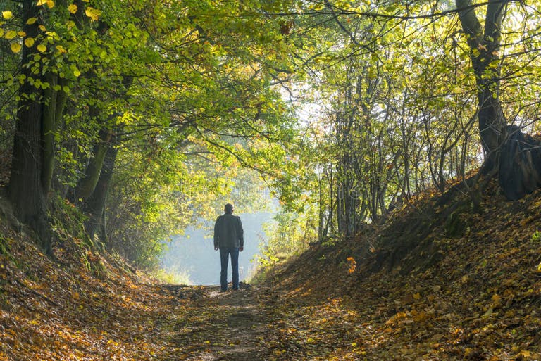 511 Man Walking Alone Along Road Stock Photos - Free & Royalty-Free ...