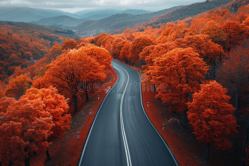 Autumn Forest Road Top View Landscape Stock Image - Image of leaves ...