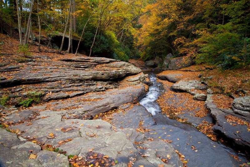 Forest Creek With Rock Dam And Crisp Mountain Water Stock Image - Image ...
