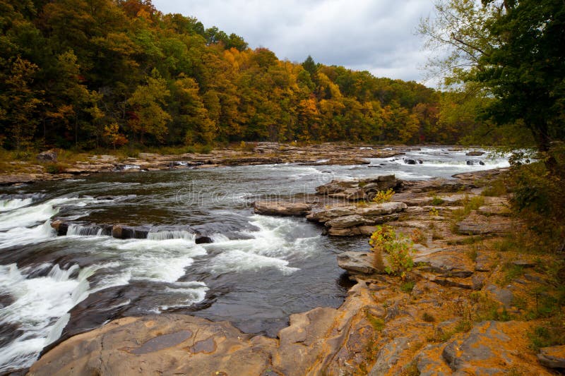 Autumn Forest Rocks River in the Woods Stock Photo - Image of october ...