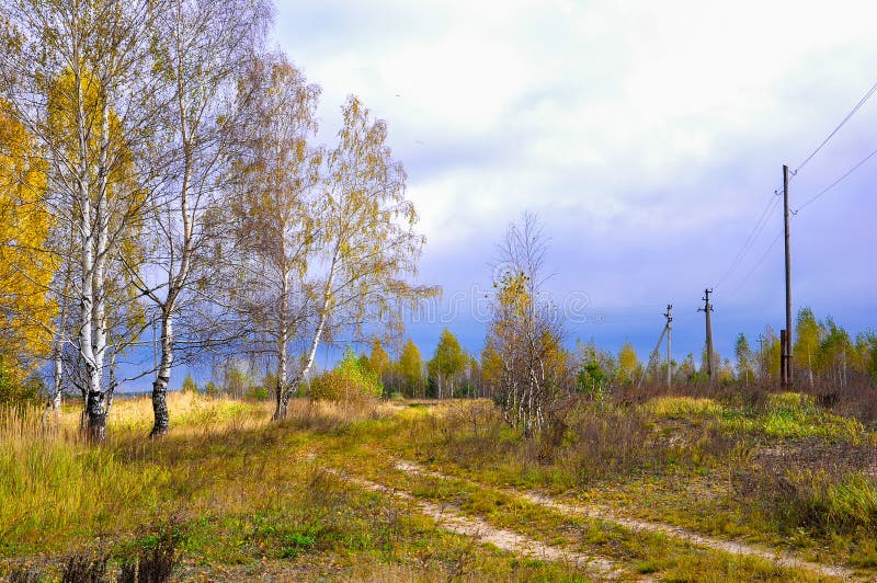 Autumn forest. Russia stock photo. Image of outdoors - 34648938
