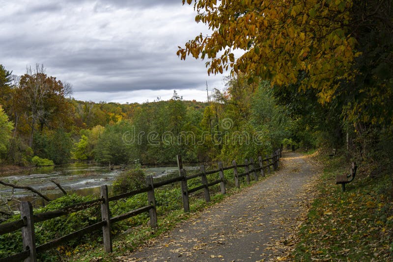 Autumn Forest Scenery with Road of Fall Leaves. Footpath in Autumn ...