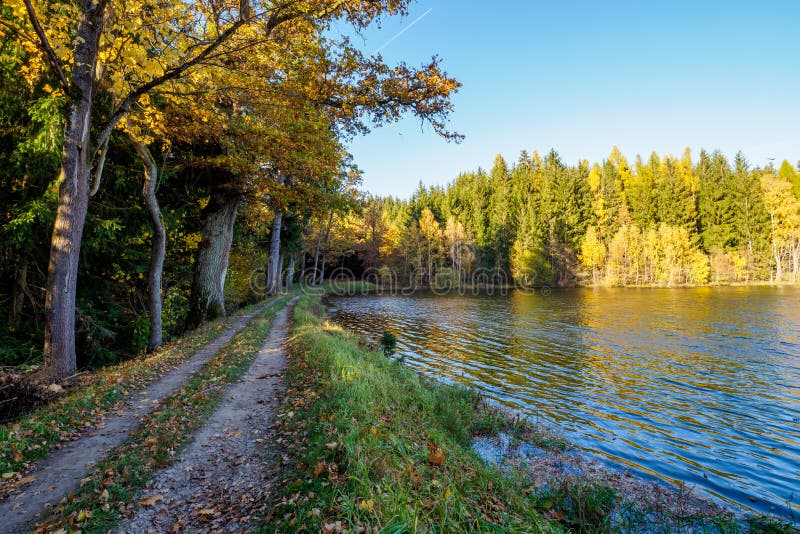 Autumn Forest Scenery with a Road of Autumn Leaves. Footpath in the ...