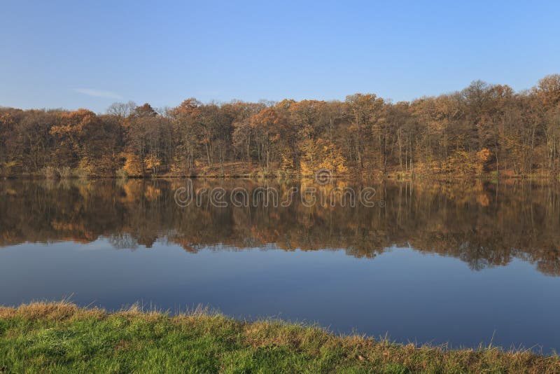 Autumn forest shoreline stock image. Image of wooded - 17341633