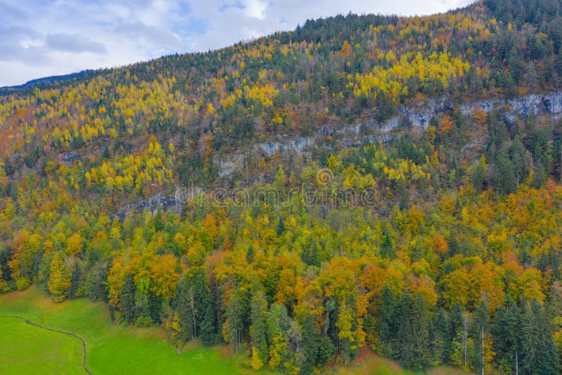 Autumn Forest, Shot from the Drone Stock Image - Image of foliage, fall ...