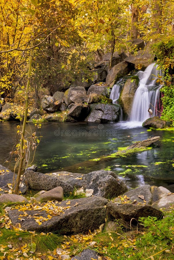 Autumn Forest with a Small Waterfall and Pond Stock Photo - Image of ...
