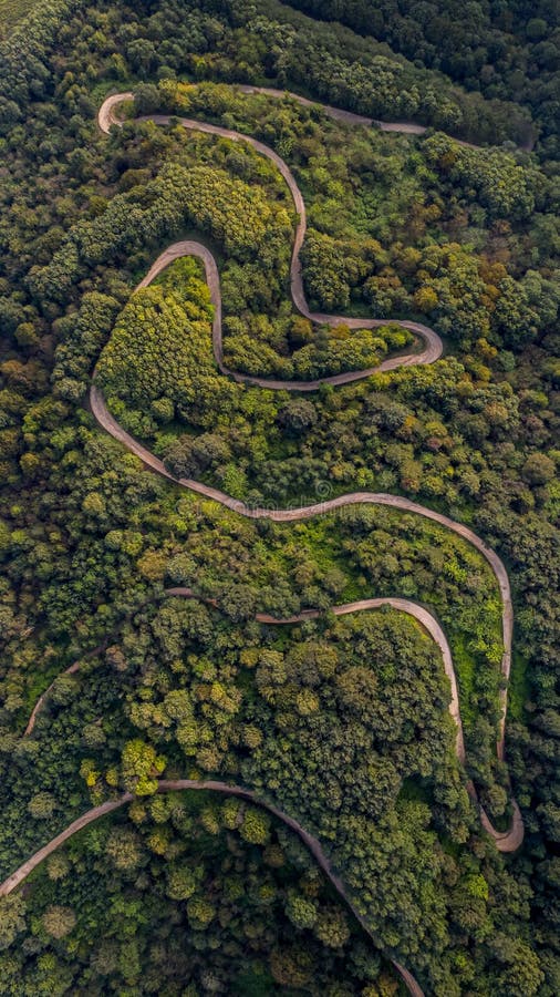 Snake Shape road in forest stock photo. Image of autumn - 266394460