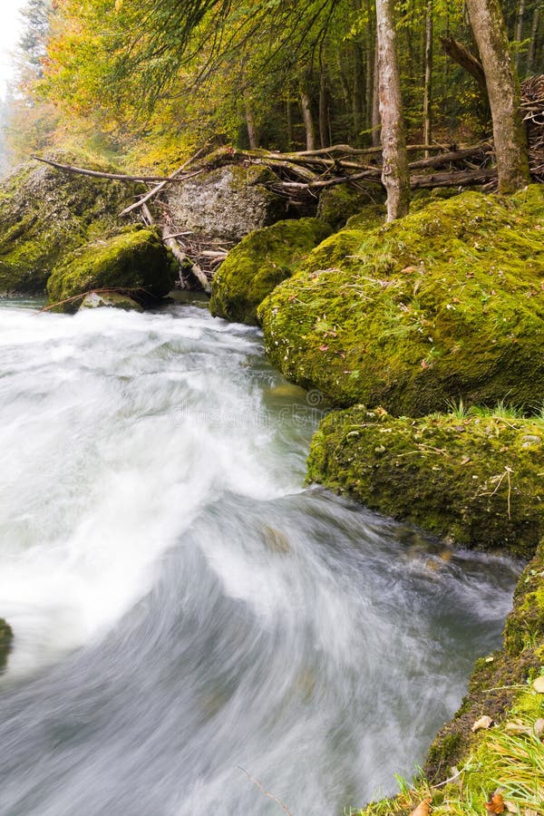 Autumn forest stream stock image. Image of cold, drop - 31173011