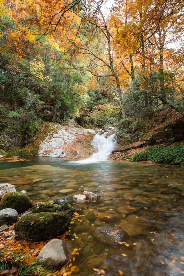 Autumn,forest and stream stock photo. Image of national - 35503580