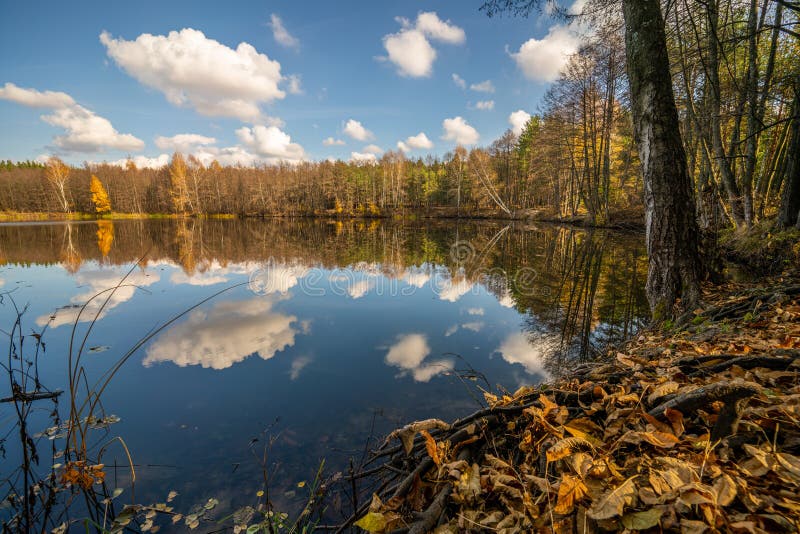The Autumn Forest Surrounds a Beautiful Forest Lake on the Surface of ...
