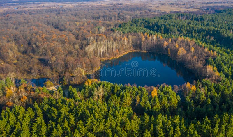 The Autumn Forest Surrounds a Beautiful Forest Lake on the Surface of ...