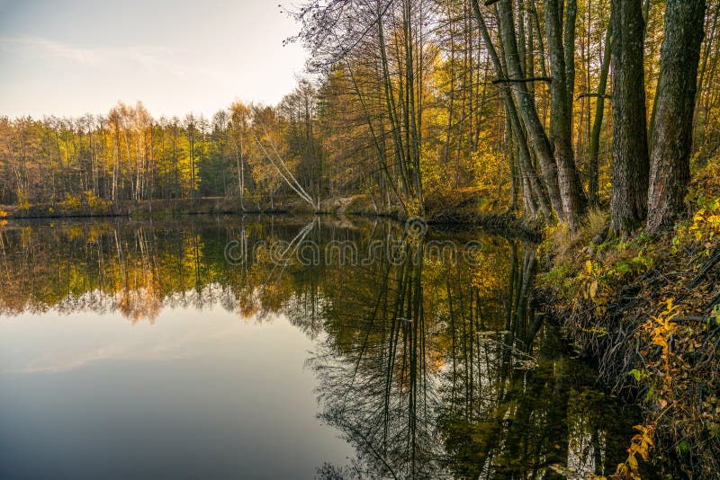 The Autumn Forest Surrounds a Beautiful Forest Lake on the Surface of ...