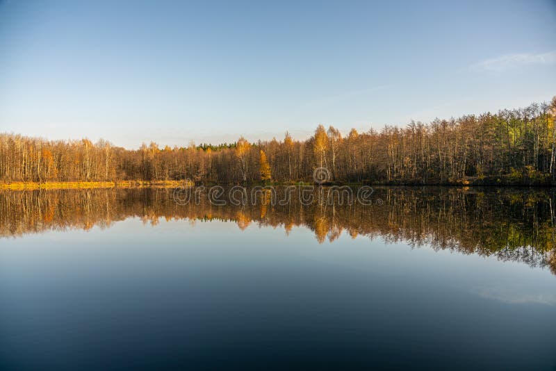 The Autumn Forest Surrounds a Beautiful Forest Lake on the Surface of ...
