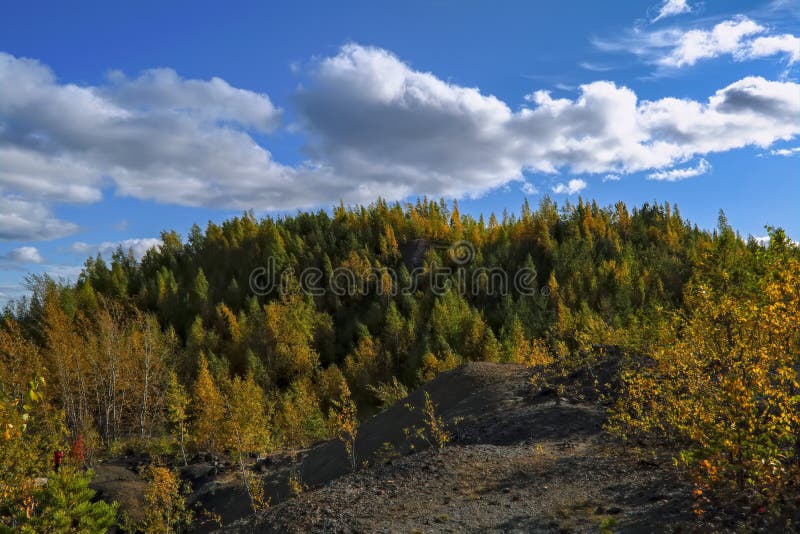 Autumn Forest on Top of a Mountain Against a Blue Sky Stock Image ...