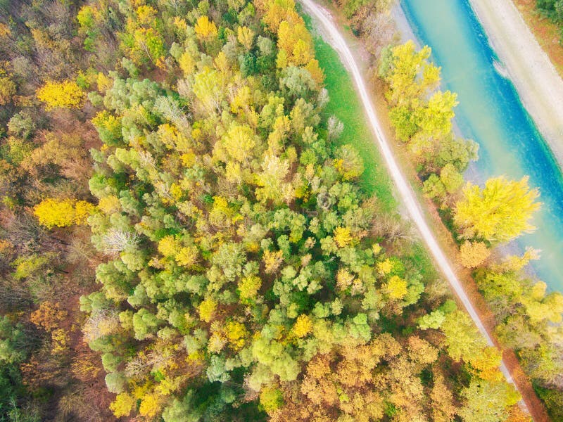 Autumn forest top of view stock image. Image of park - 129732933
