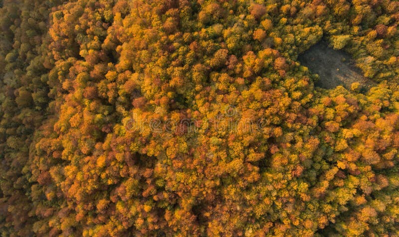 Autumn forest top view. stock photo. Image of highway - 161459720