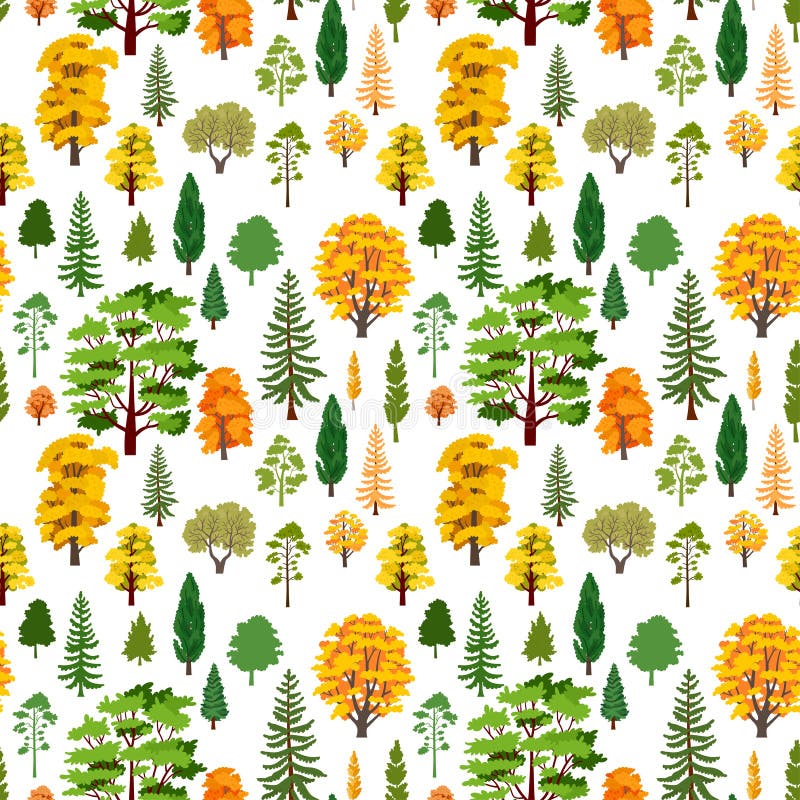 Autumn Forest Trees Pattern. a Woodland Background Stock Vector ...
