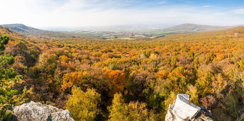 Autumn forest valley stock image. Image of carpathian - 40685151