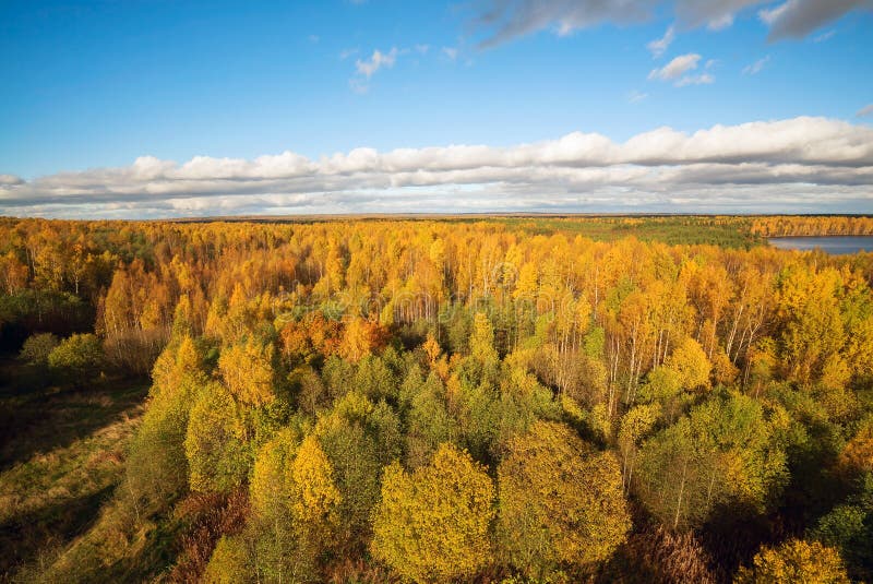 Autumn Forest , the View from the Height . Autumn Landscape . Stock ...