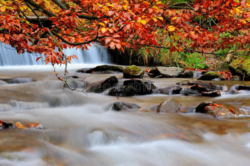 Autumn forest waterfall stock image. Image of flow, flowing - 59341349