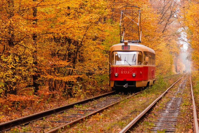 Autumn Forest among Which Goes a Strange Tram Editorial Image - Image ...