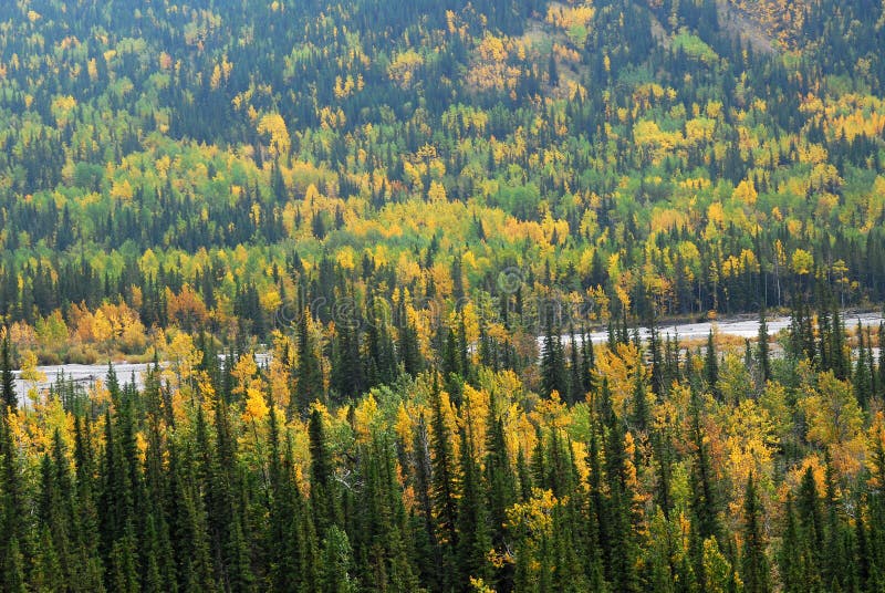 Autumn forests in valley stock photo. Image of mountains - 6917776