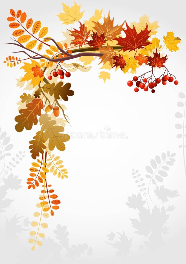 Autumn frame stock vector. Illustration of bright, maple - 15565956