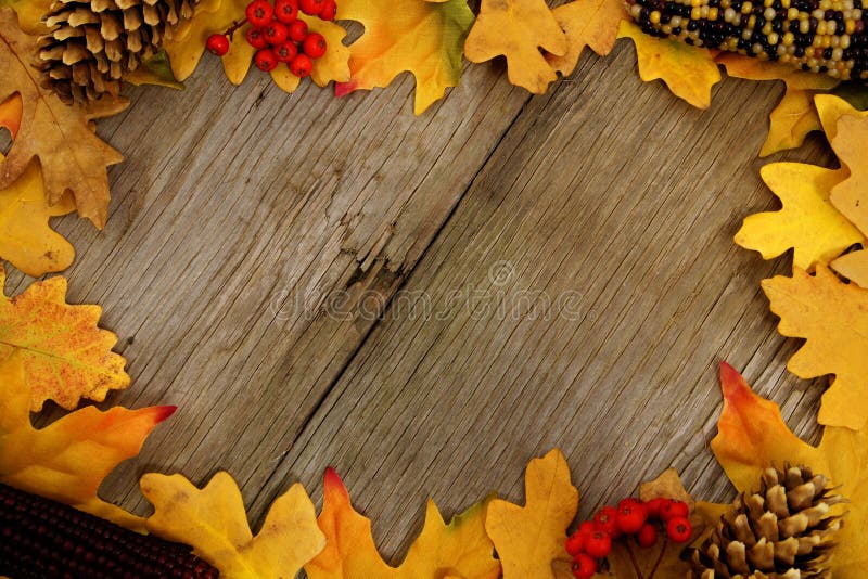 Autumn frame stock photo. Image of golden, berries, decoration - 21614664