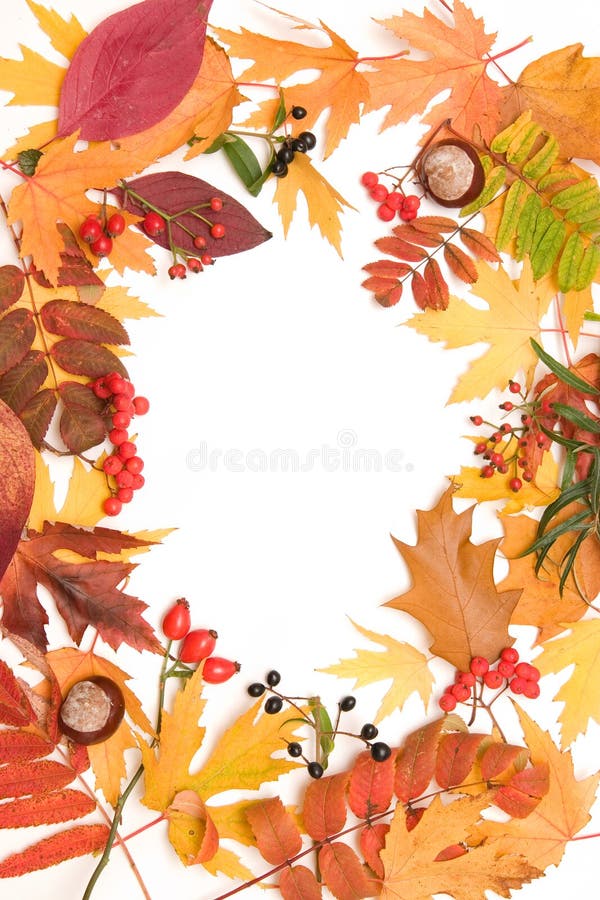 Autumn frame stock photo. Image of nature, fall, colourful - 3270426